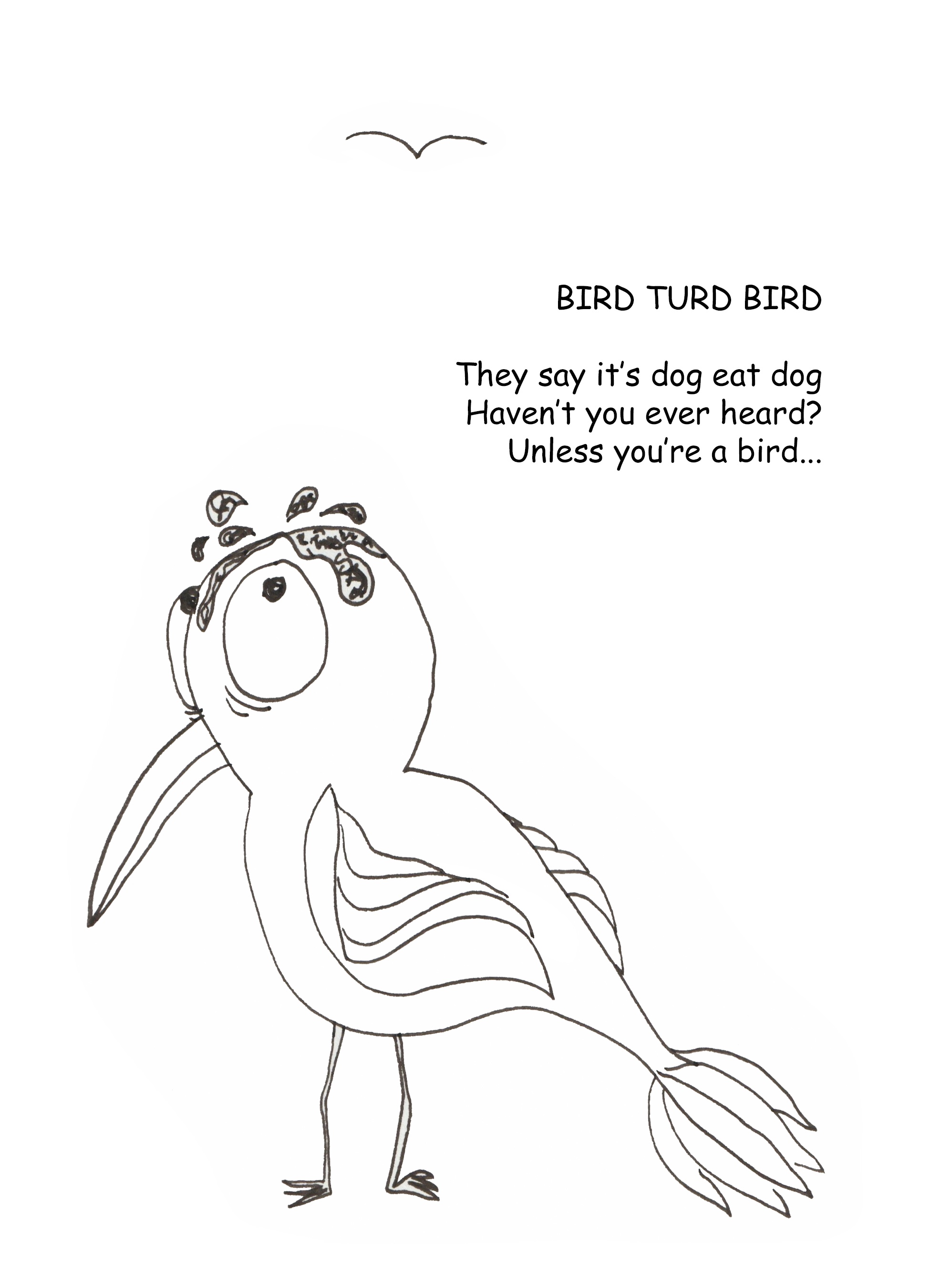 Bird Turd Bird – Wild Like the Flowers